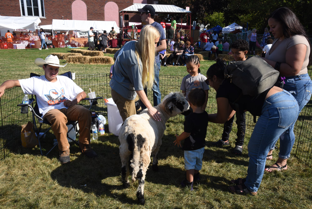 Photos – Hilton Apple Fest